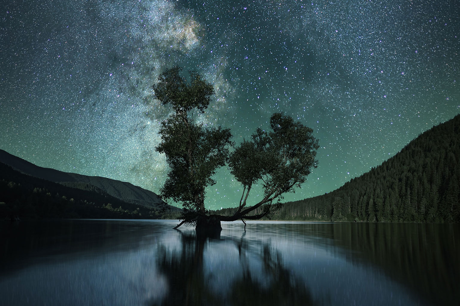 Temptation, the Cross, the Trinity, Knowledge and the University ...