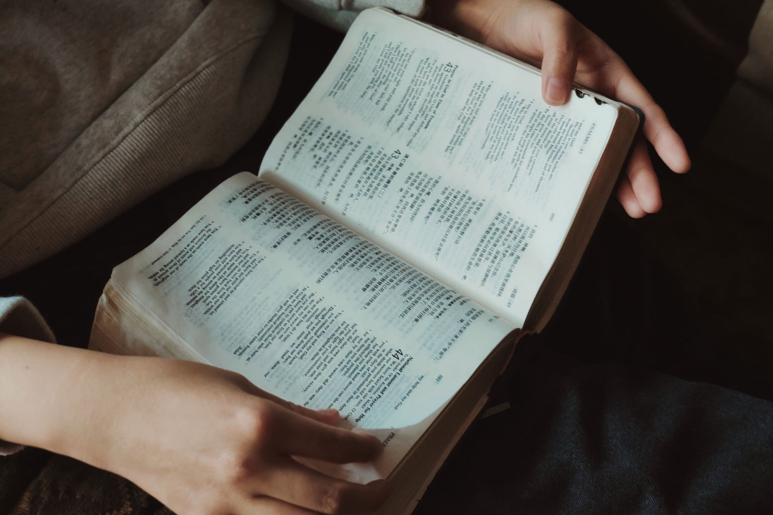 Reigning in Life Through One, Christ Jesus | Conversatio Divina