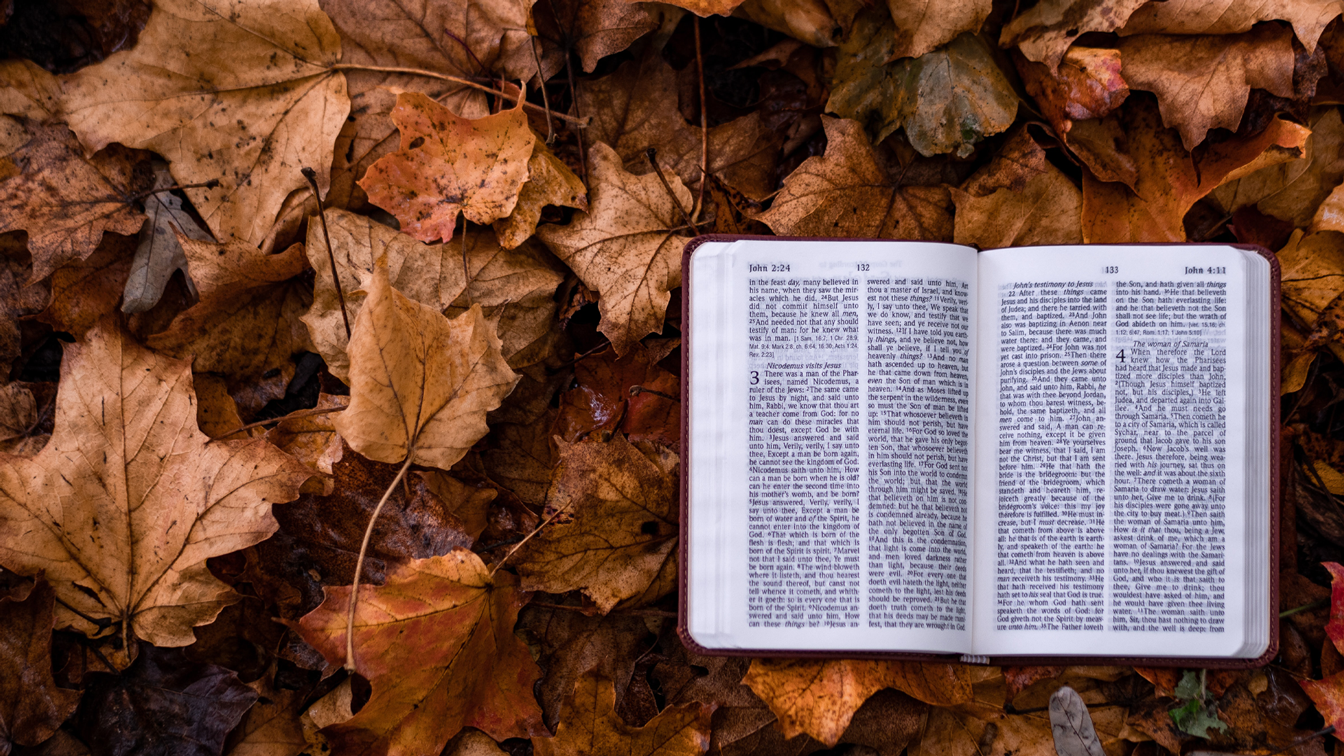 Getting My Bible Back: Reclaiming the Living Word | Conversatio Divina