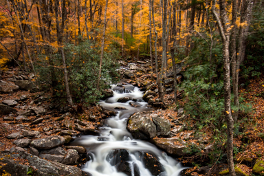 Streams of Living Water: Wisdom and Energy for the Soul | Conversatio ...