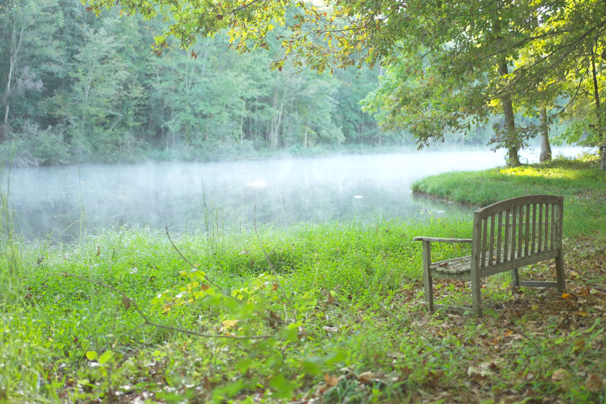 Encountering God in Our Overwhelming | Conversatio Divina