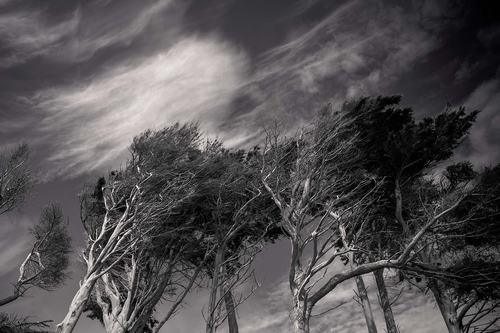 Poems by James Reed | Conversatio Divina