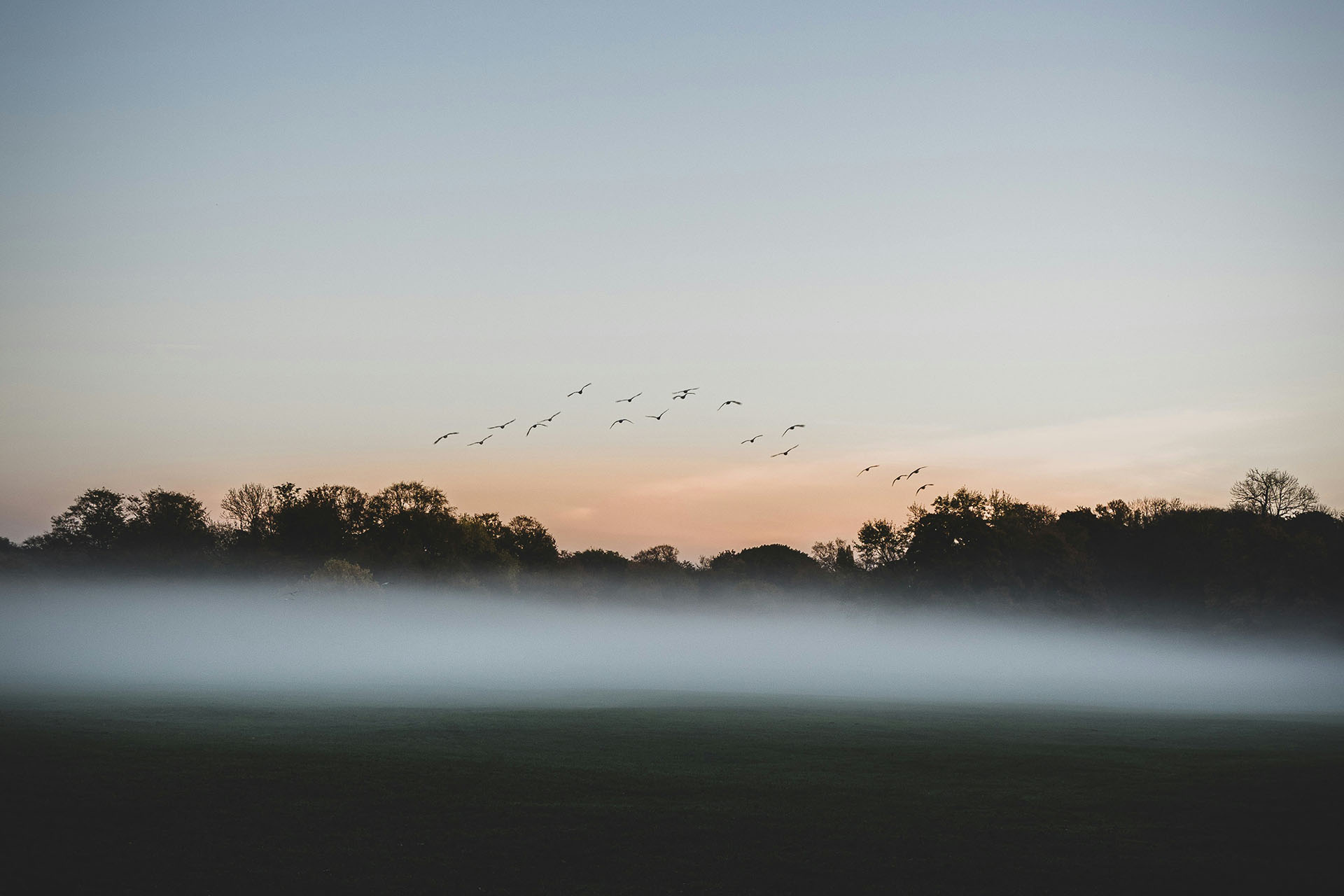 Incarnatio Series: Emerging Voices | Conversatio Divina