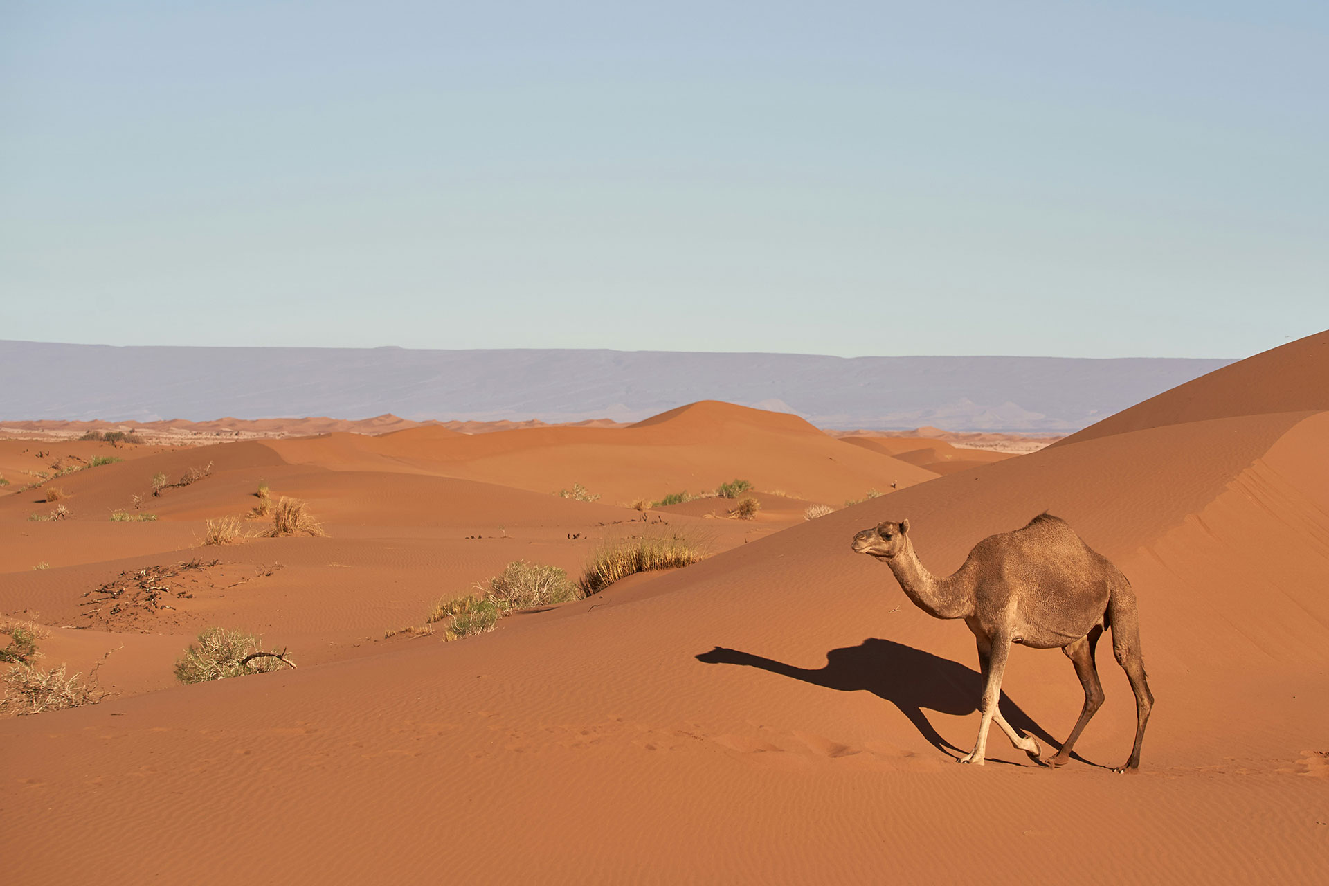 Painful Moments | Conversatio Divina