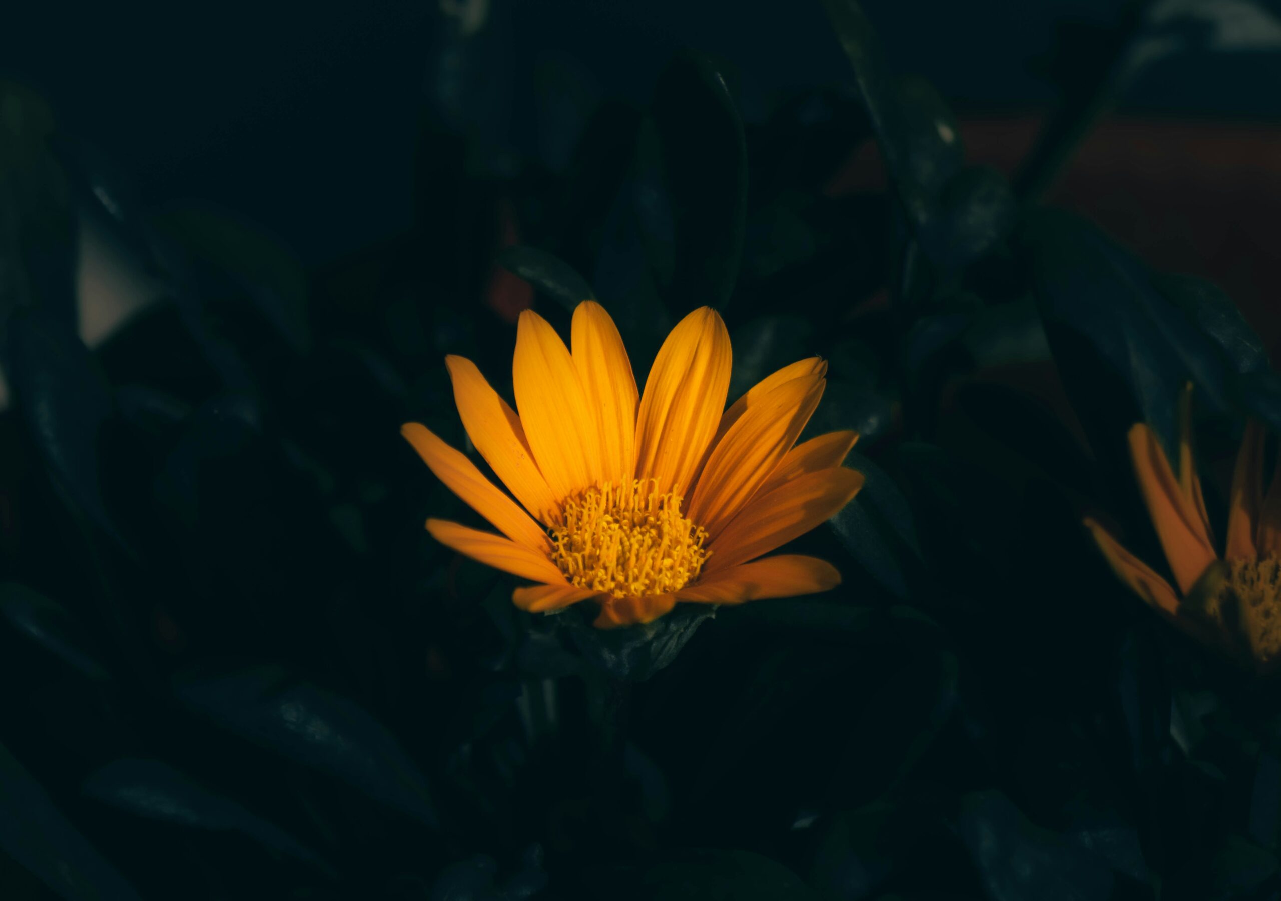 How to Live Well: Eternal Life Begins Now | Conversatio Divina