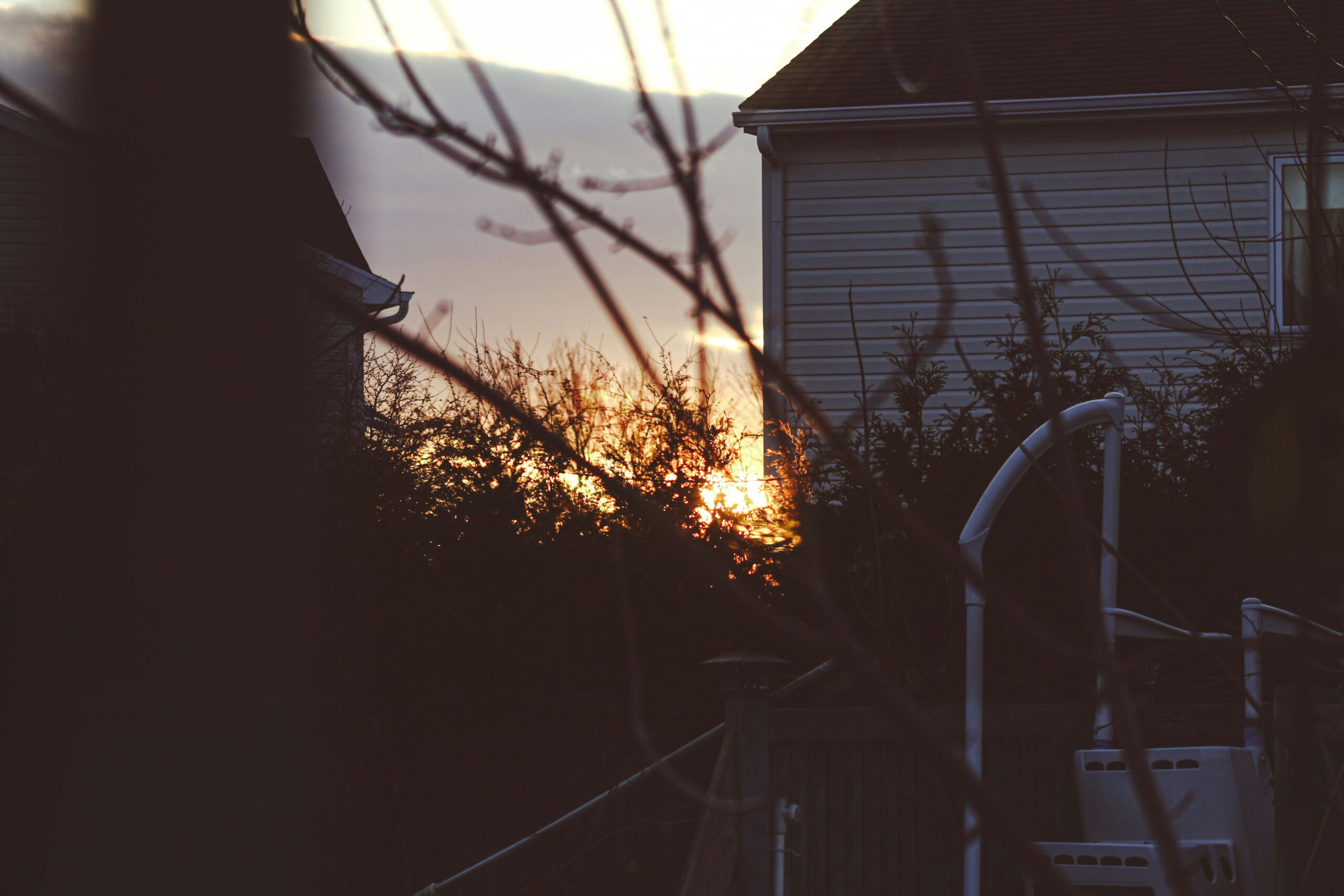 The Call to Flourish So That Our Neighbor Can Flourish | Conversatio Divina